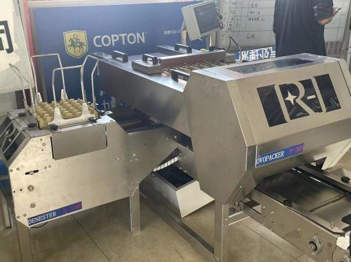 Egg Packer Machine
